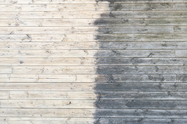 Everything You Need to Know About Professional Softwashing Services ...